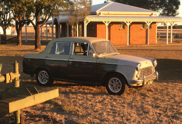 1963 Datsun Bluebird - ShaunBleez - Shannons Club