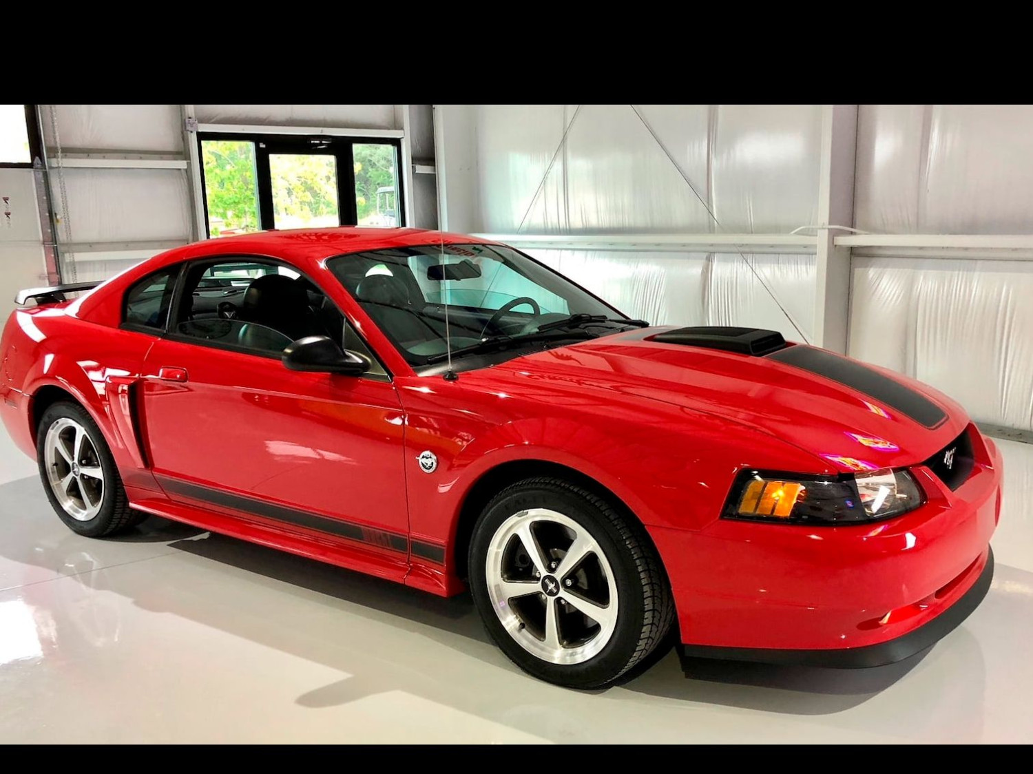 2004 Ford Mustang Mach1 - Kerryhug - Shannons Club