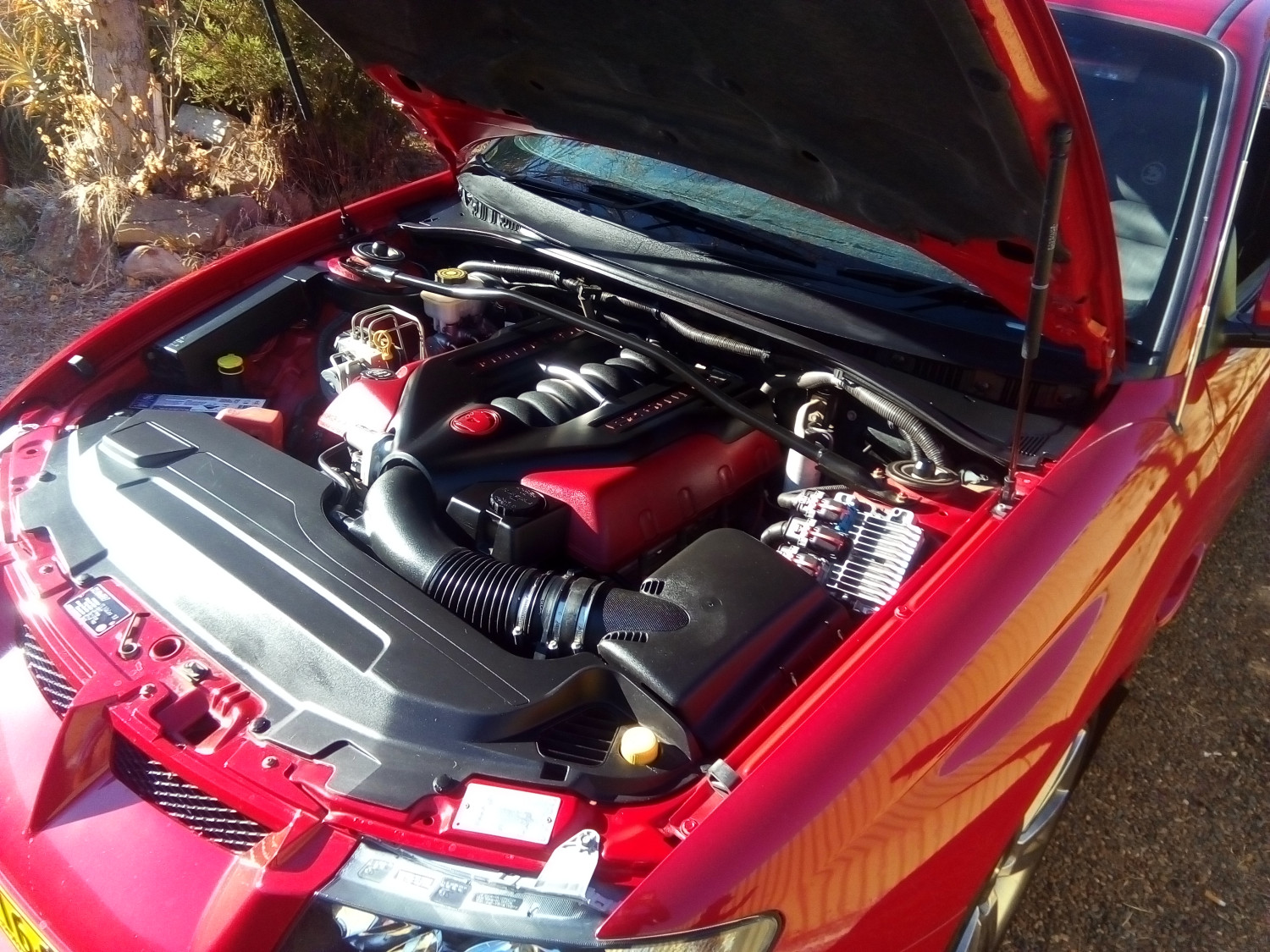 2005 Holden Special Vehicles VZ R8 Maloo - NataleeTonkin - Shannons Club