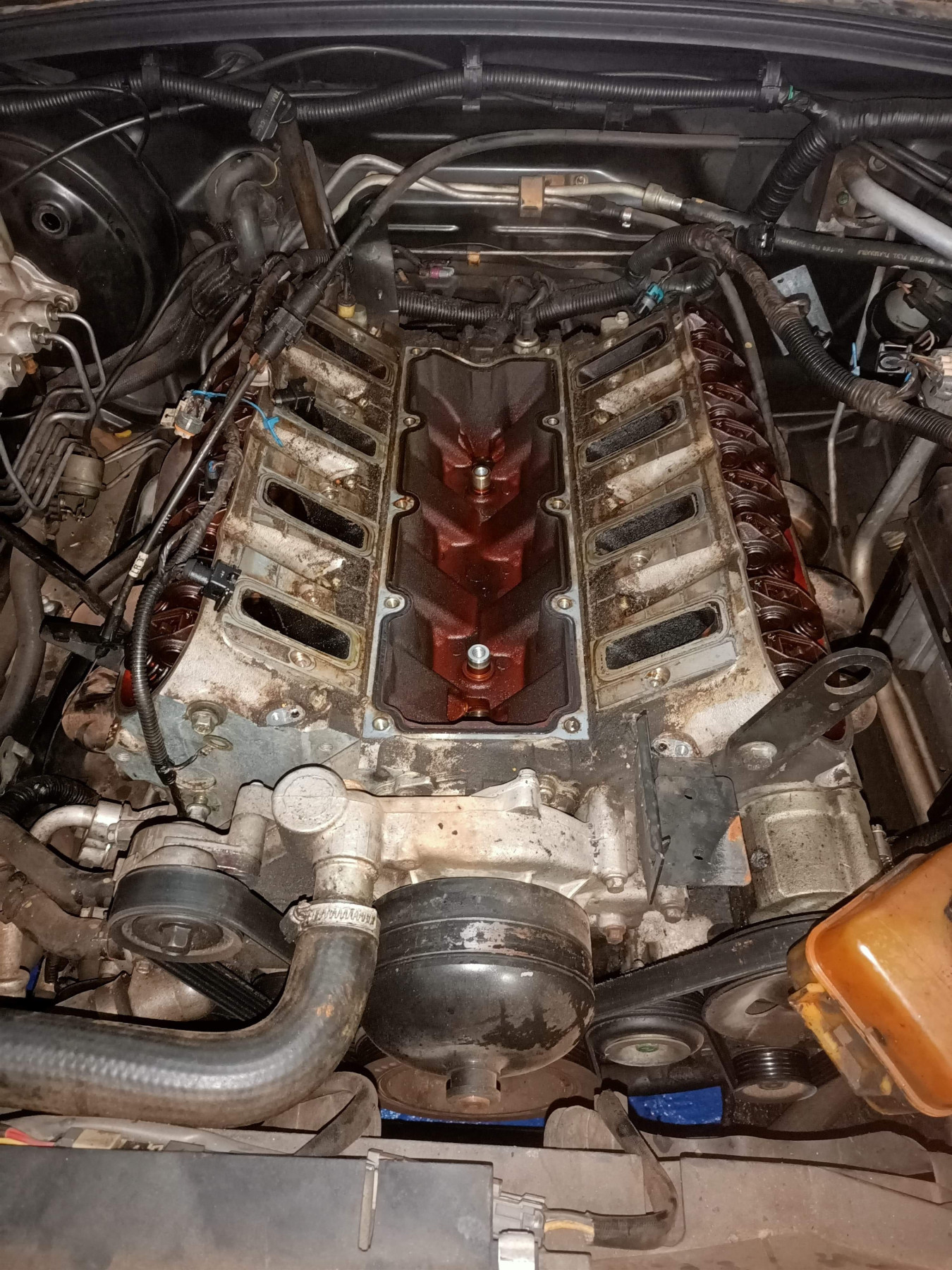 2001 Holden VX SS - Forryy - Shannons Club