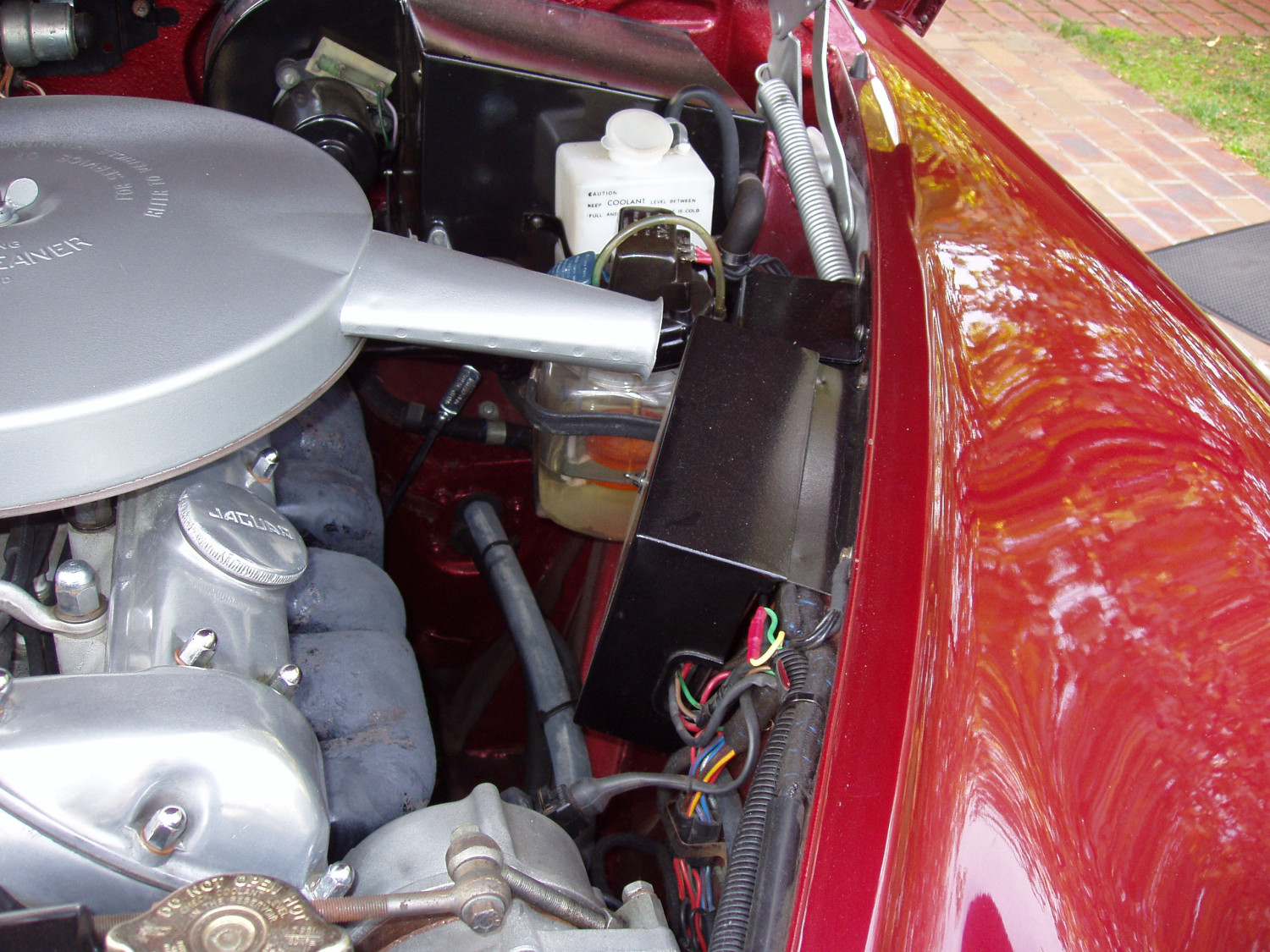 Photo by jbtull66 - Shannons Club