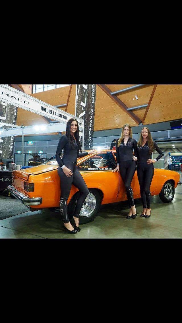1976 Holden Dealer Team Torana - fryzem - Shannons Club