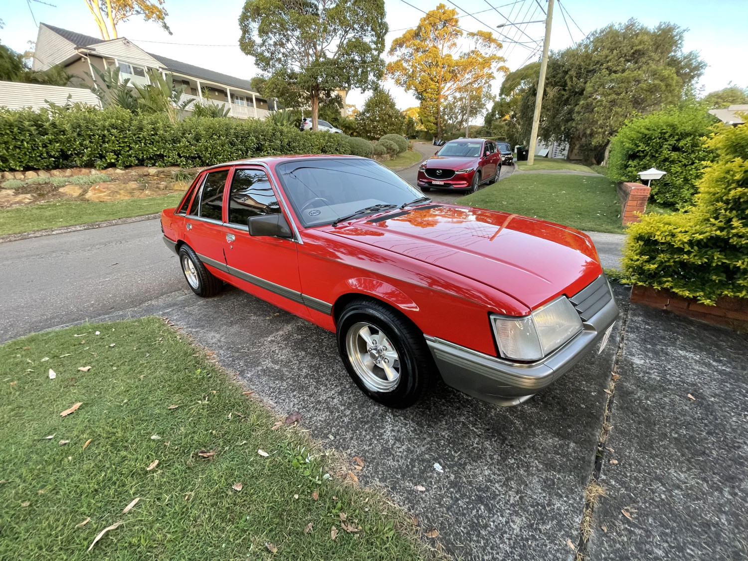 1985 Holden COMMODORE - antsVK - Shannons Club