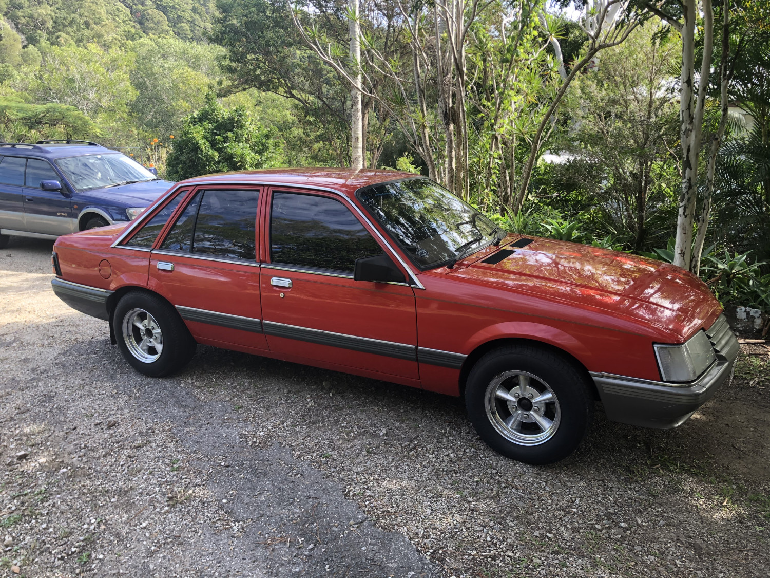 1985 Holden COMMODORE - antsVK - Shannons Club