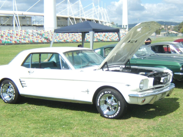 1966 Ford MUSTANG - Petcafe - Shannons Club