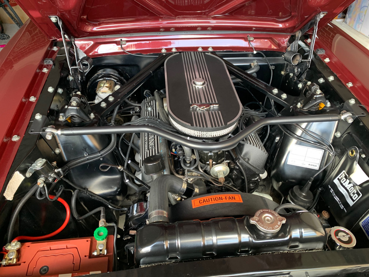 1964 Ford MUSTANG - AnthonyRawlings - Shannons Club