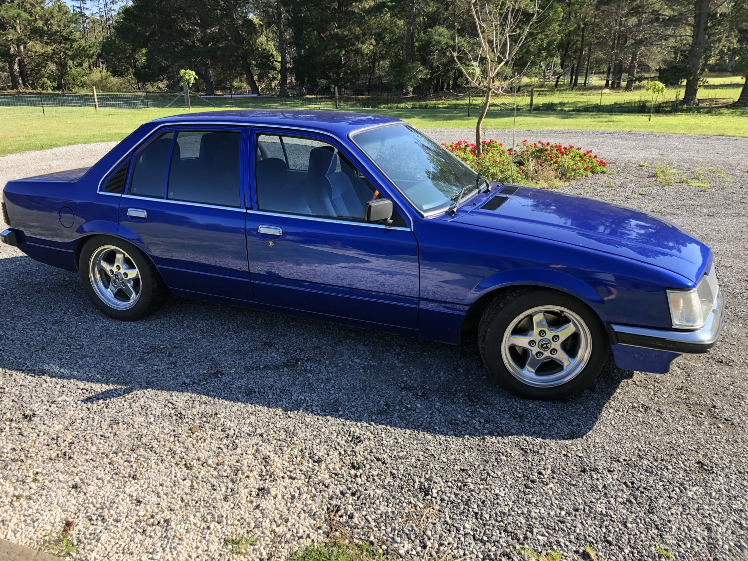 1983 Holden COMMODORE - jeffrenae - Shannons Club