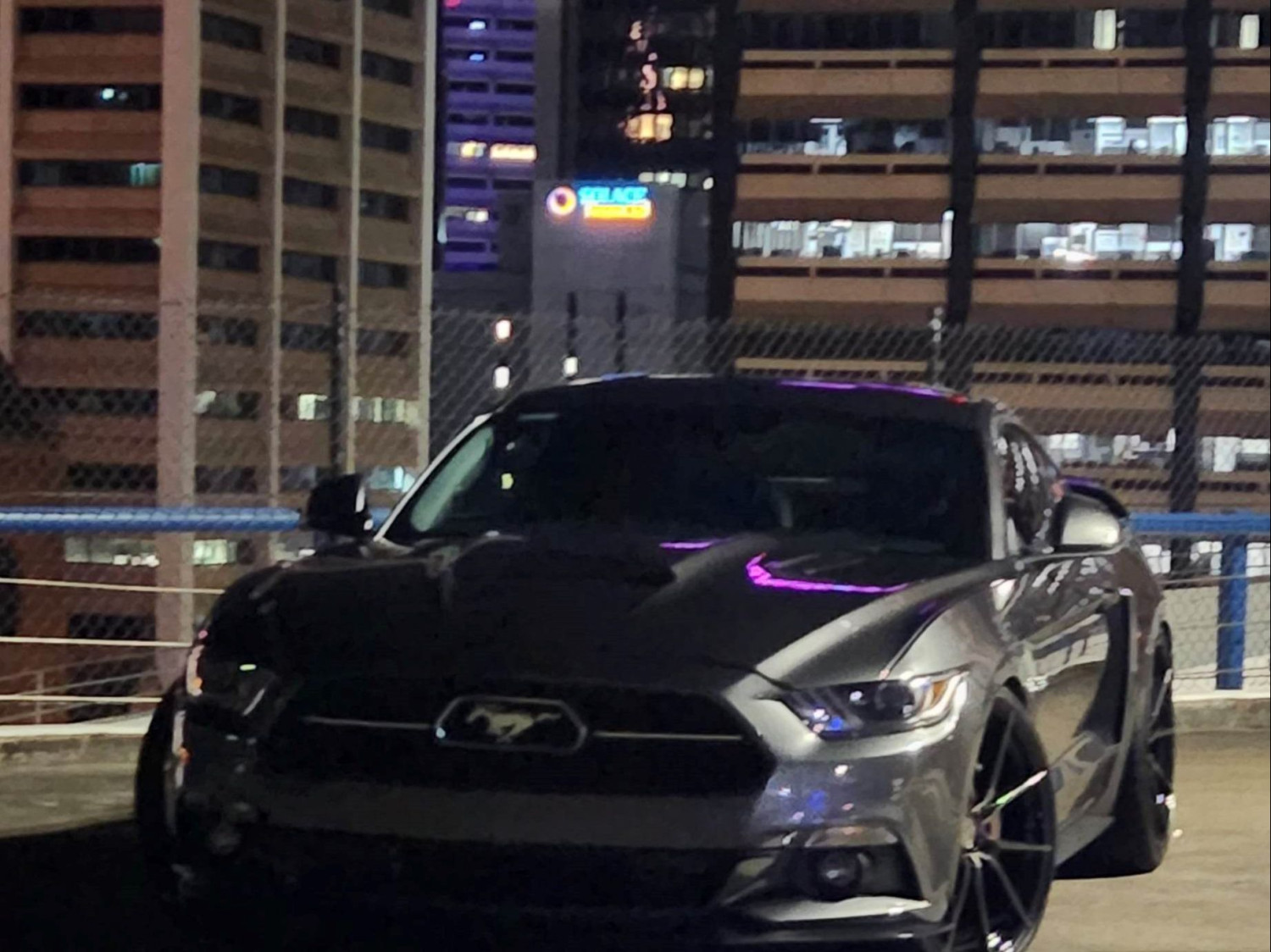 2016 Ford MUSTANG - ACMustang - Shannons Club