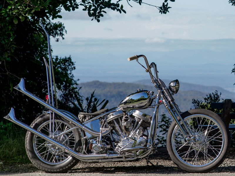 1950 Harley-Davidson Panhead | 2023 Shannons Club Online Show & Shine