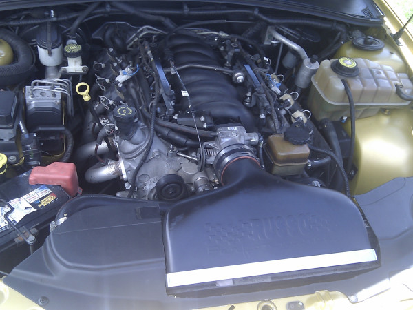 2001 Holden Special Vehicles CLUBSPORT - clubsportv8 - Shannons Club
