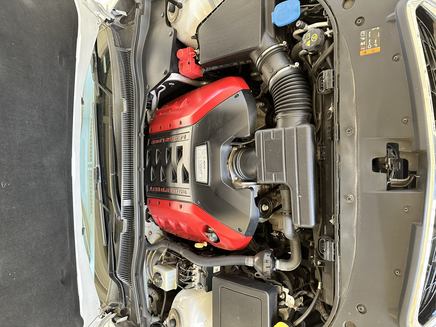 Photo by phillysicm81 - Shannons Club