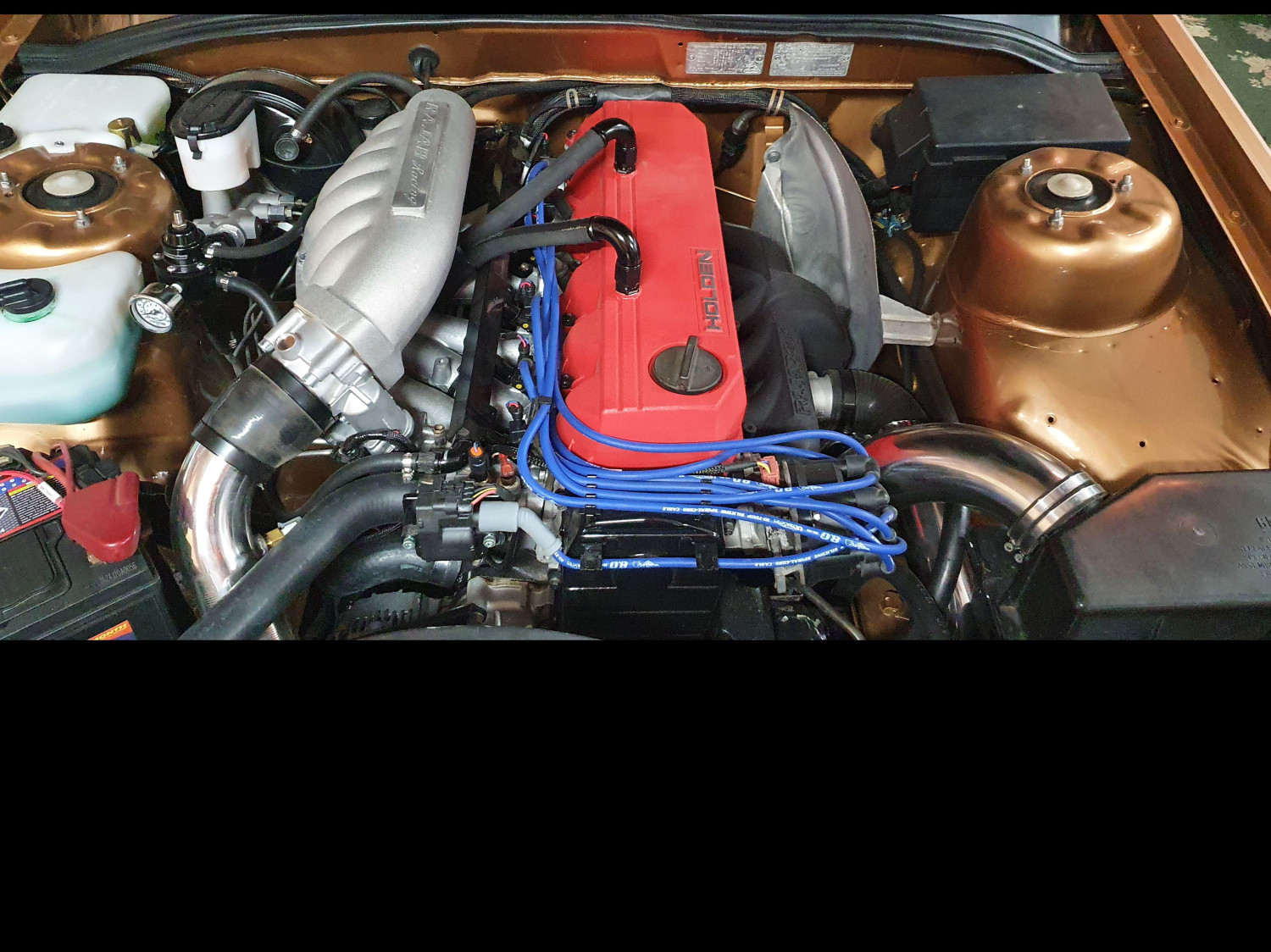 1987 Holden VL Commodore - dexta22 - Shannons Club