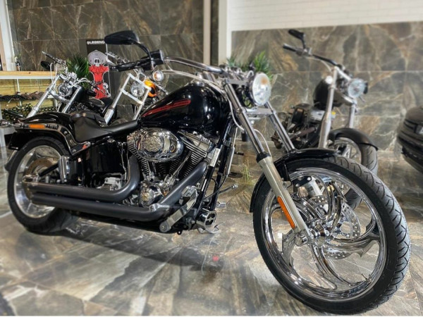 2009 Harley-Davidson 1340cc FXST SOFTAIL - Maline - Shannons Club