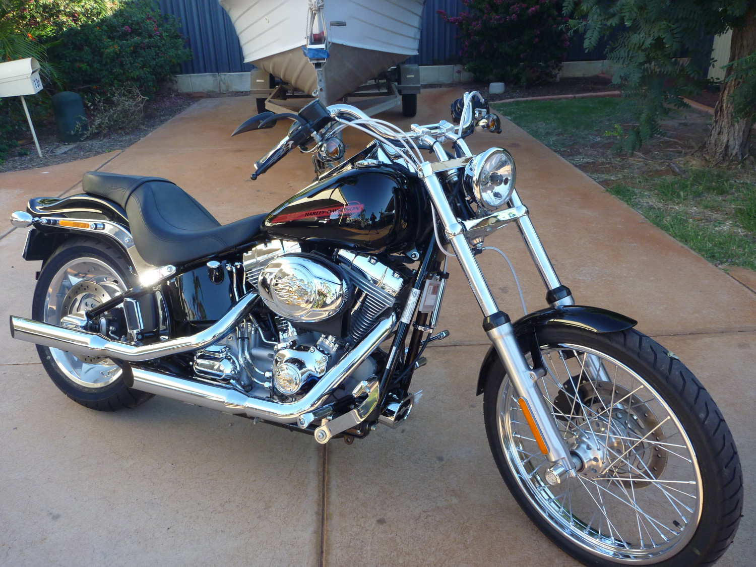 2009 Harley-Davidson 1340cc FXST SOFTAIL - Maline - Shannons Club