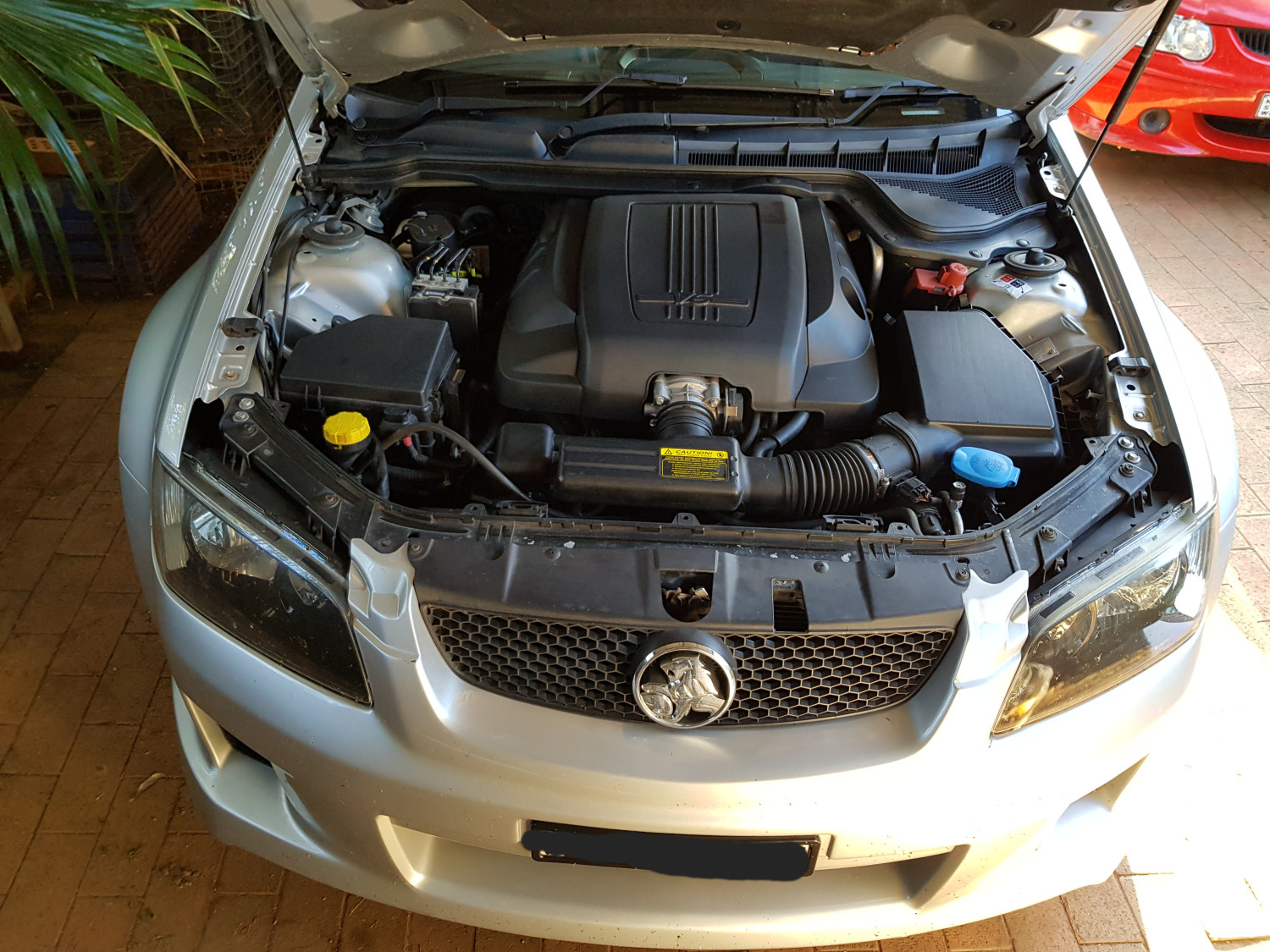 2009 Holden COMMODORE - dazbrock0055 - Shannons Club