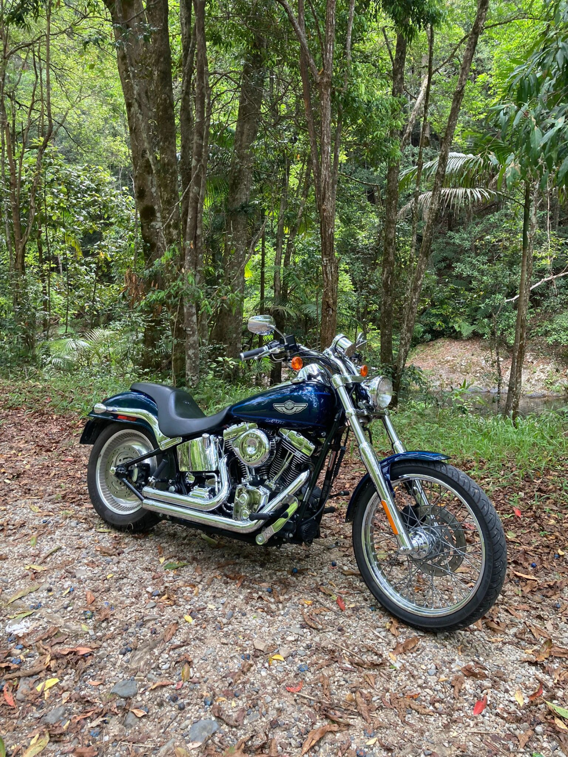 Photo by Gdogrick - Shannons Club