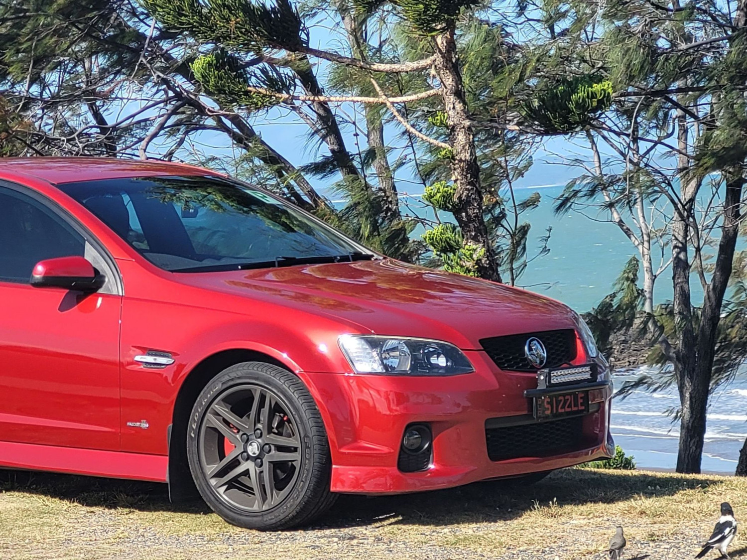 2011 Holden COMMODORE - BanglesTV - Shannons Club