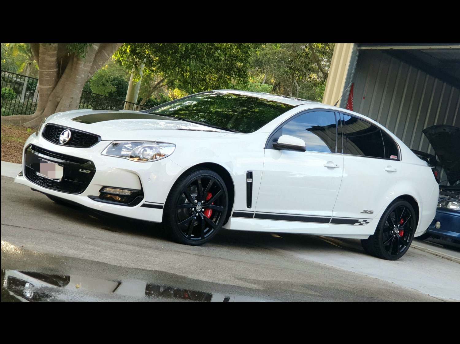 2016 Holden COMMODORE - rtsMARK - Shannons Club