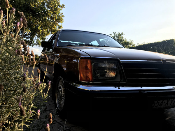 1979 Holden COMMODORE - jackdore - Shannons Club