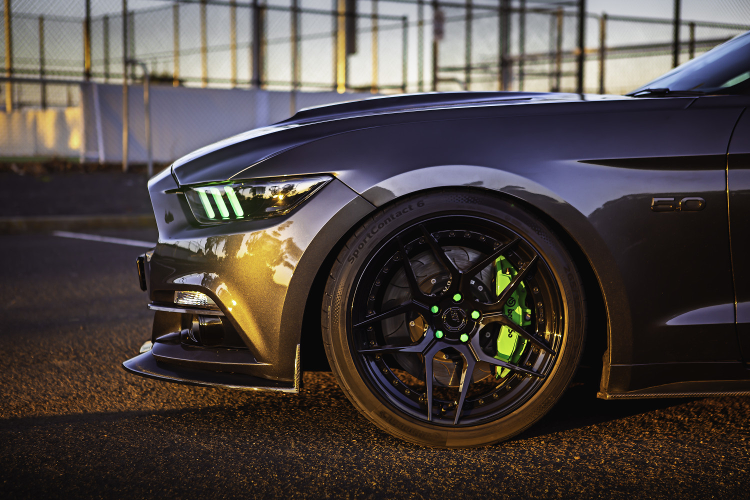 2017 Ford MUSTANG | 2020 Shannons Club Online Show & Shine