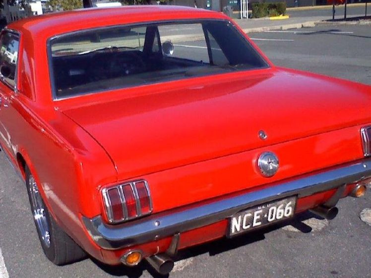 Photo by PonyRider - Shannons Club