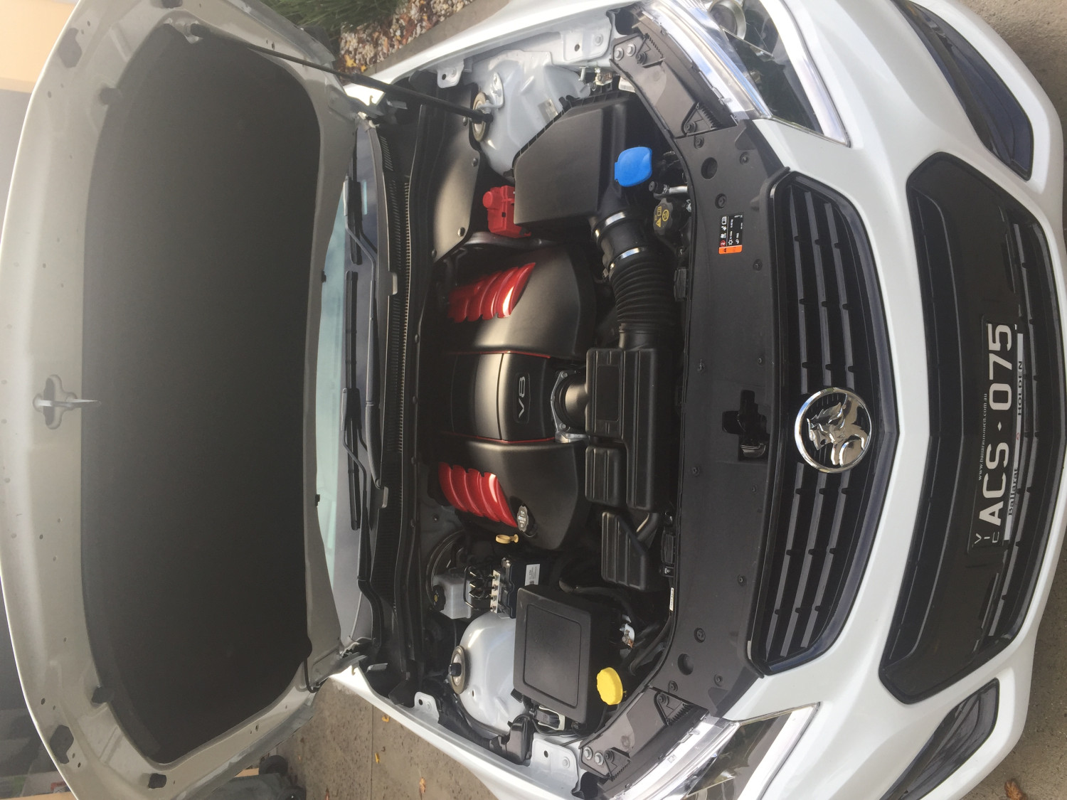 2014 Holden SSV Redline - silverfox6425 - Shannons Club