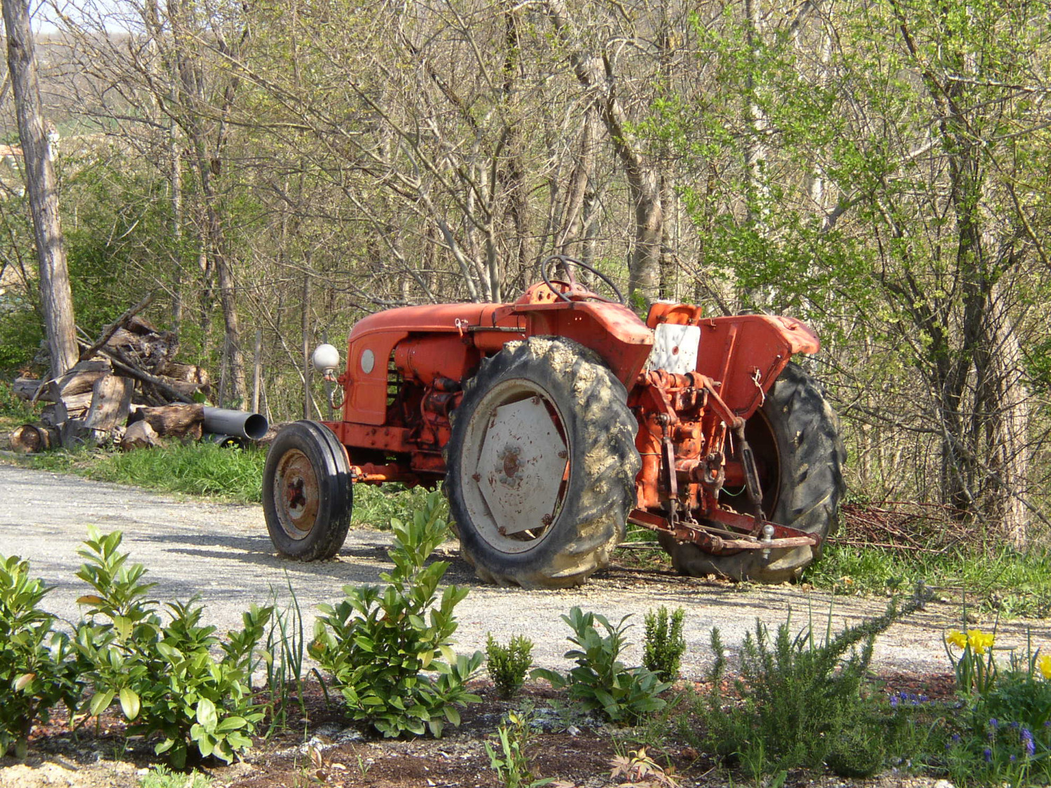 1956 Renault D22 - Jaygeedee - Shannons Club