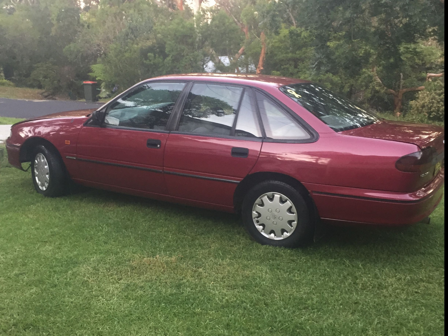 1994 Holden Commodore - grub03 - Shannons Club