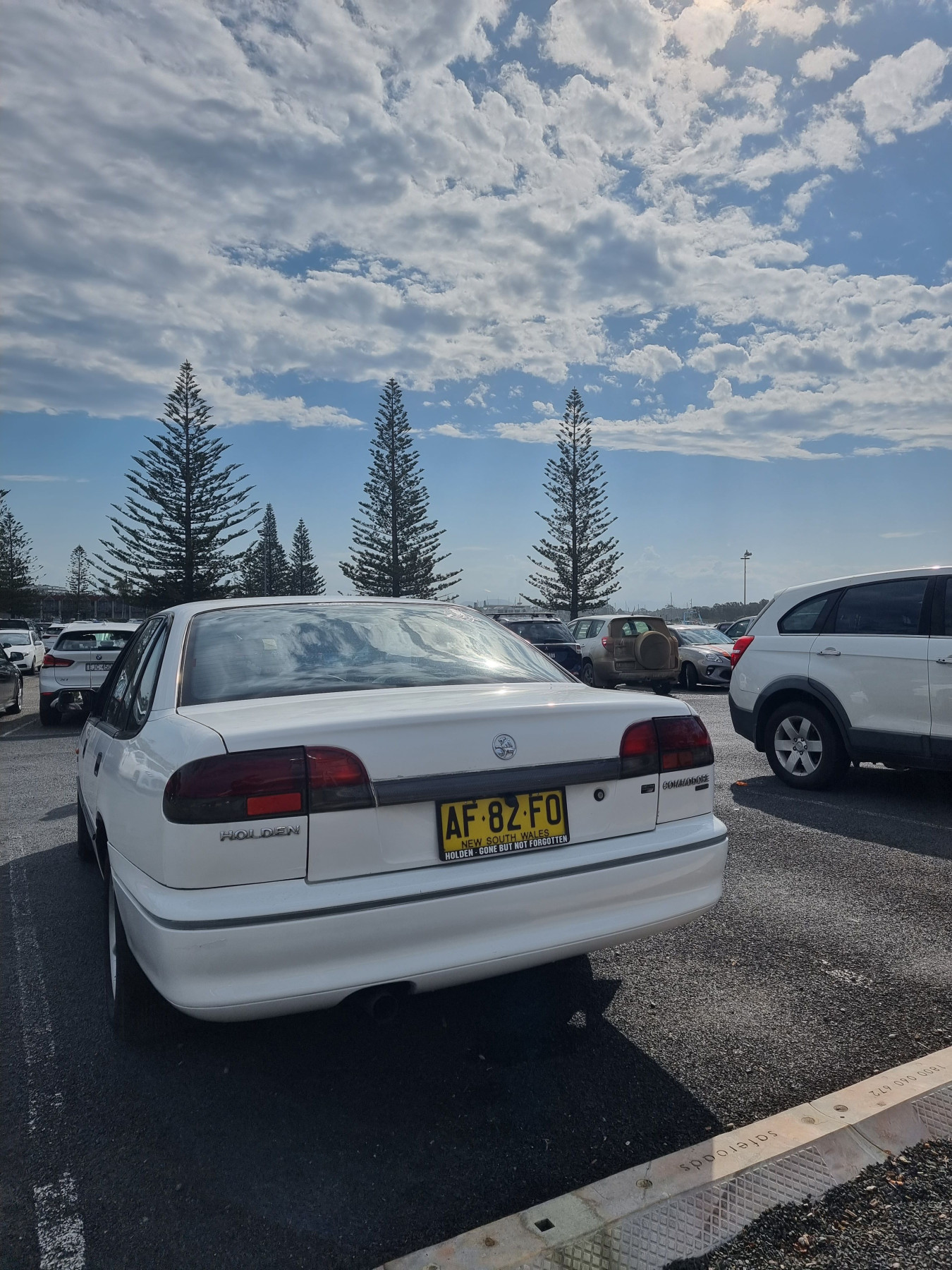 1996 Holden COMMODORE - Joshuabonser57 - Shannons Club