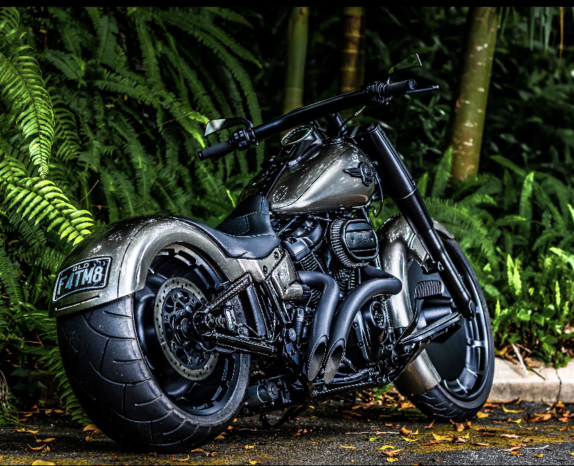 2017 Harley-Davidson Fatboy | 2020 Shannons Club Online Show & Shine