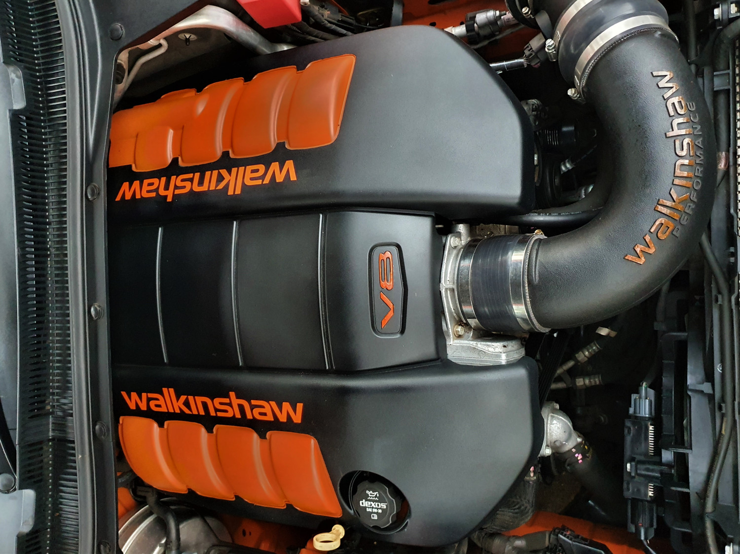 2014 Holden COMMODORE SSV W310 | 2022 Shannons Club Online Show & Shine