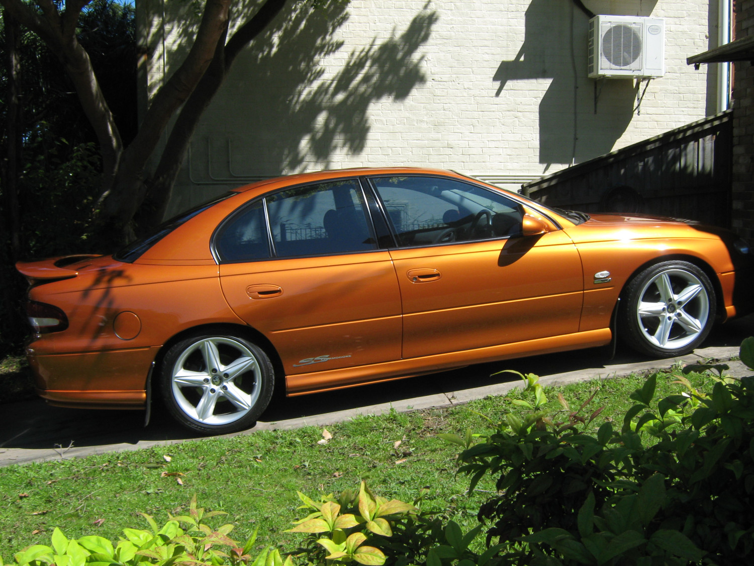 2000 Holden COMMODORE - bearshead - Shannons Club