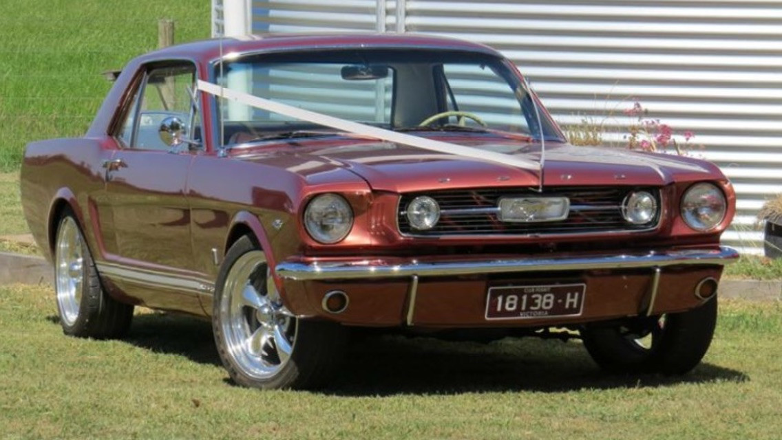 Photo by Limpy - Shannons Club