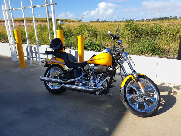 2011 Harley-Davidson FXST, softail. 96ci - stephensandford62 - Shannons ...