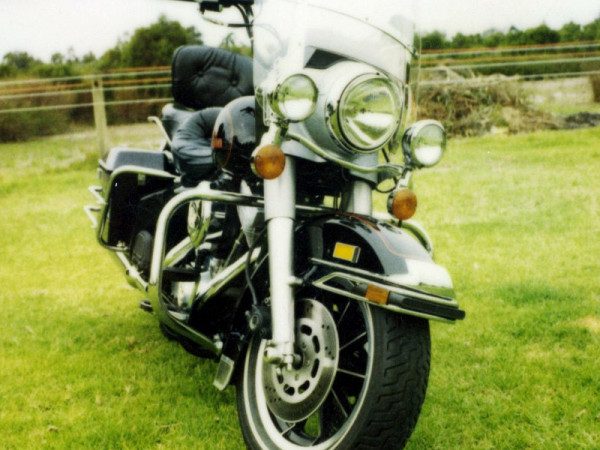 1994 Harley-Davidson Electra Glide Sports - PingellyPete - Shannons Club