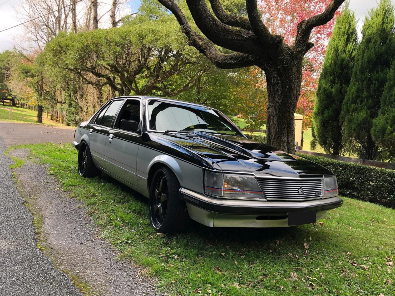 1983 Holden COMMODORE - chrissmith2 - Shannons Club