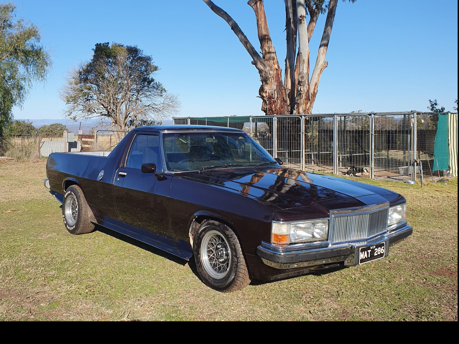 1982 Holden WB - MattBrown2 - Shannons Club