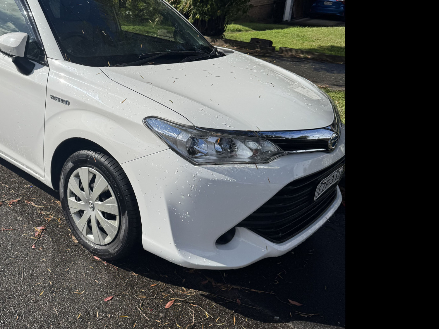 2016 Toyota Corolla axio - EzF31U - Shannons Club