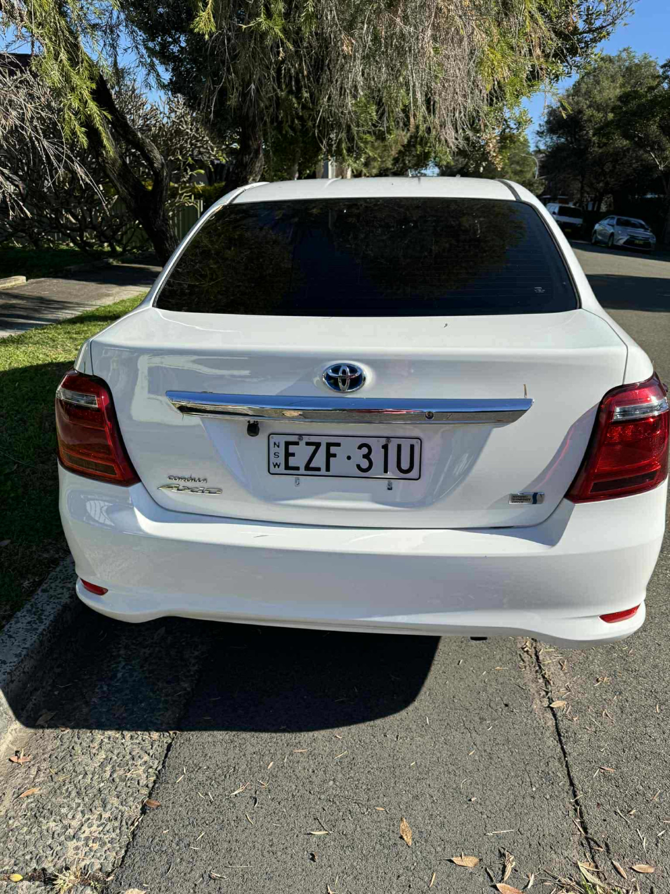 2016 Toyota Corolla axio - EzF31U - Shannons Club
