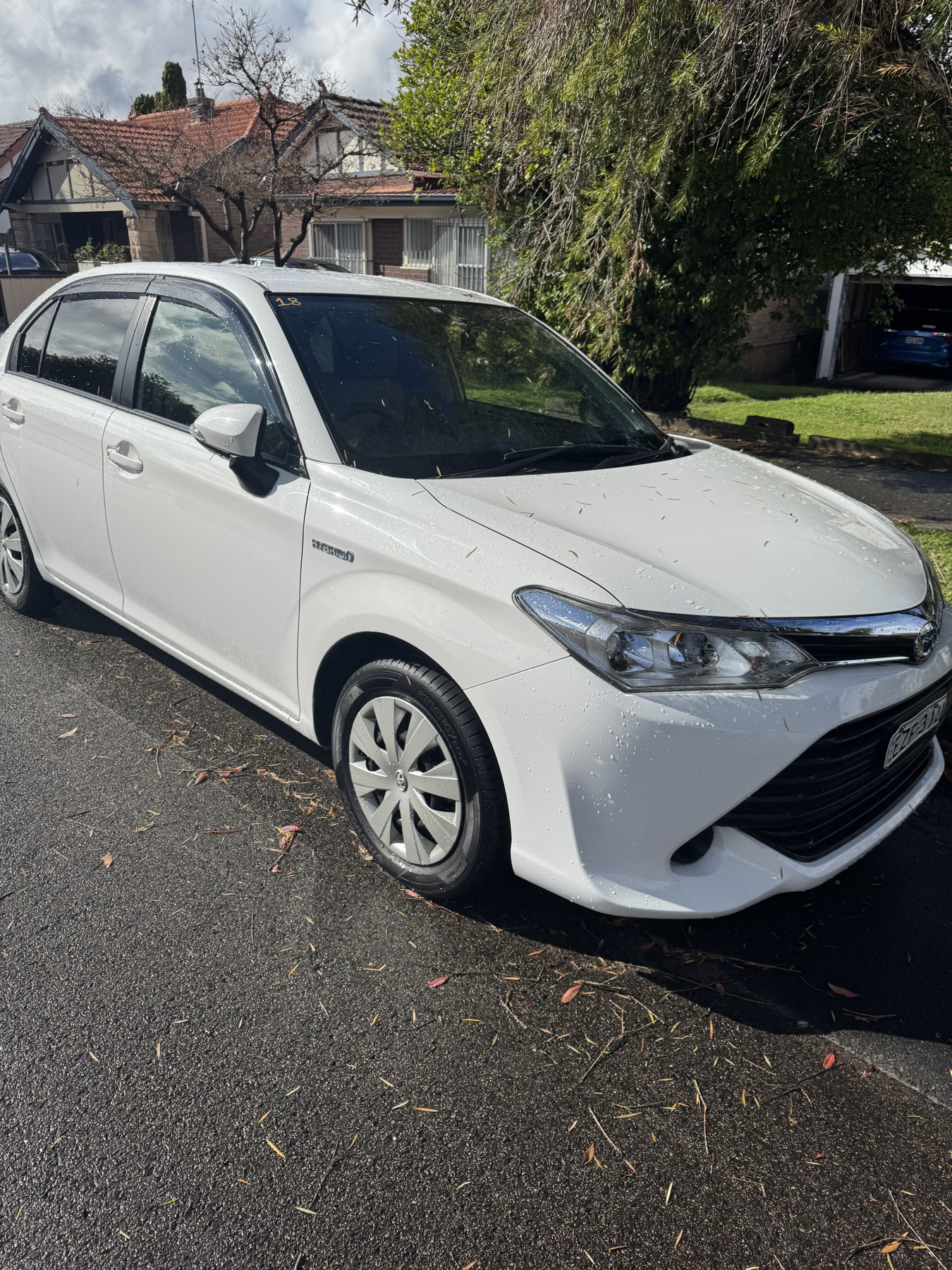2016 Toyota Corolla axio - EzF31U - Shannons Club