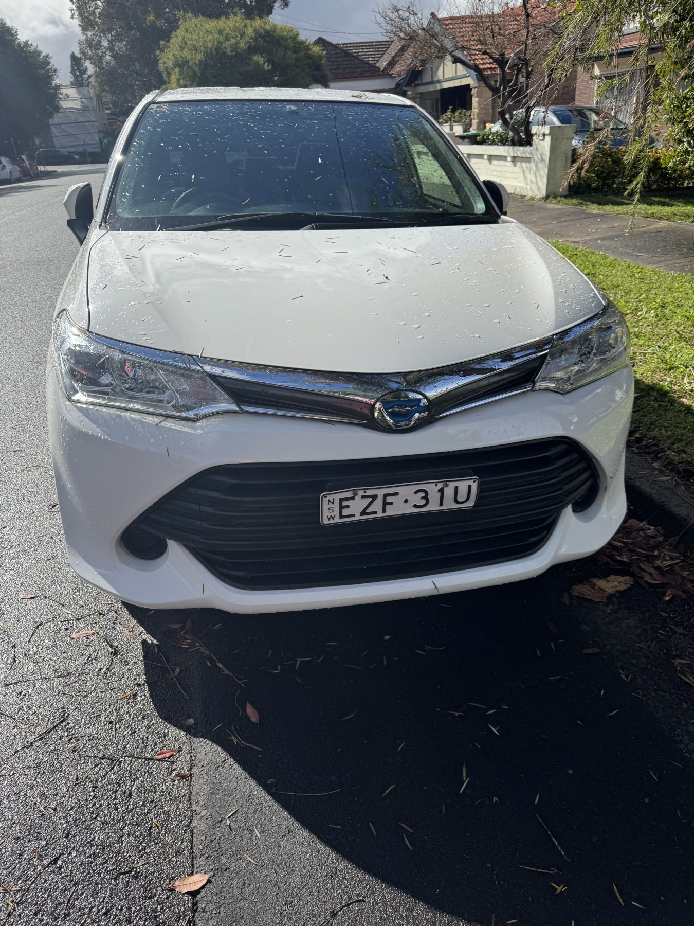 2016 Toyota Corolla axio - EzF31U - Shannons Club