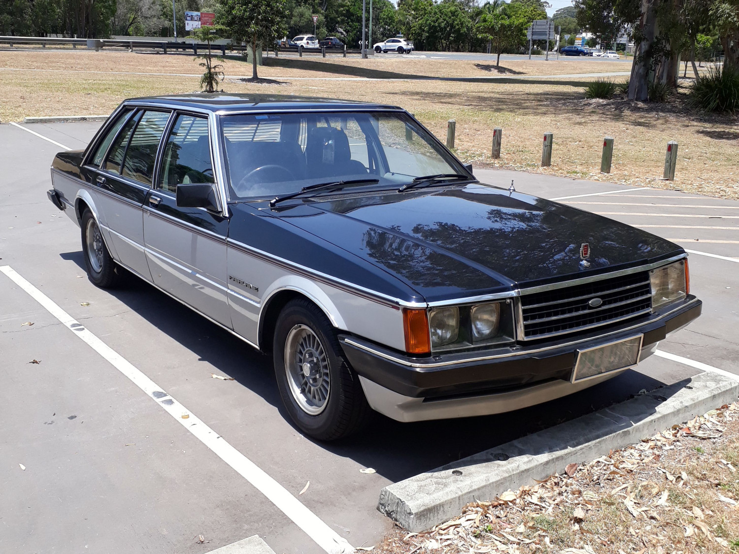 1981 Ford Fairlane - bcrowe - Shannons Club