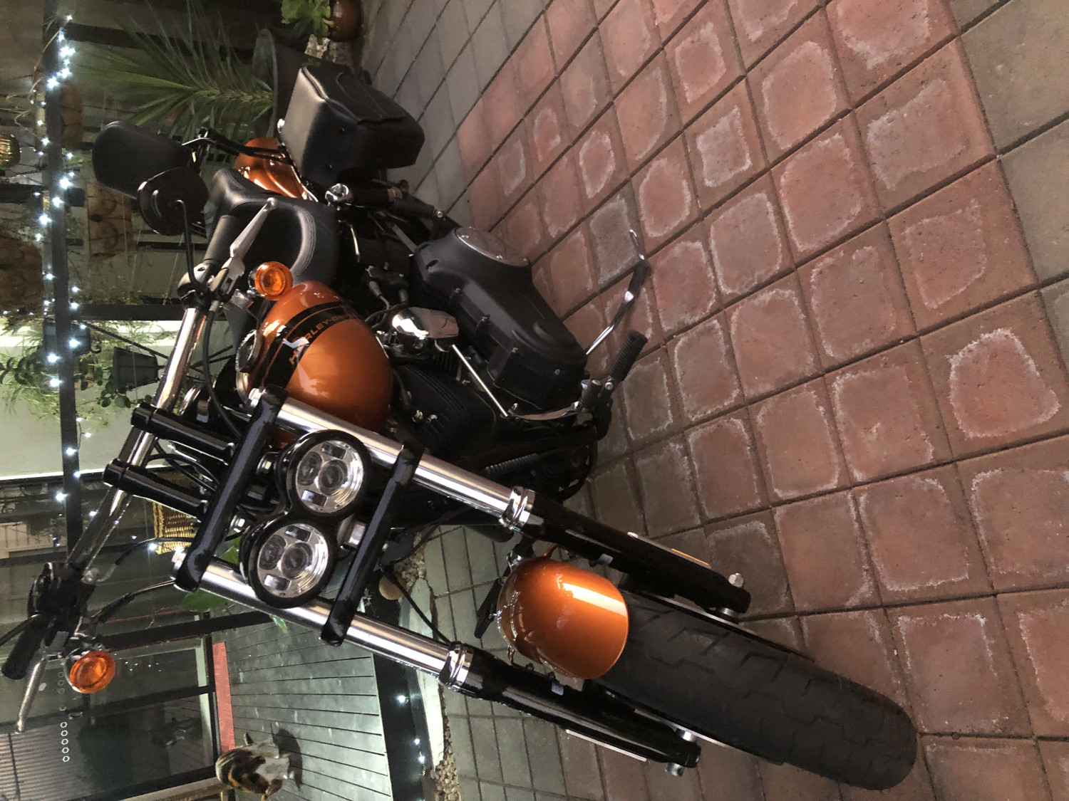 2014 Harley-Davidson FDFX | 2023 Shannons Club Online Show & Shine