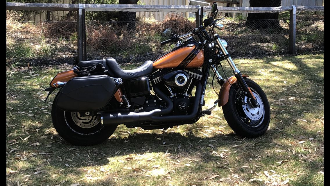 2014 Harley-Davidson FDFX | 2023 Shannons Club Online Show & Shine