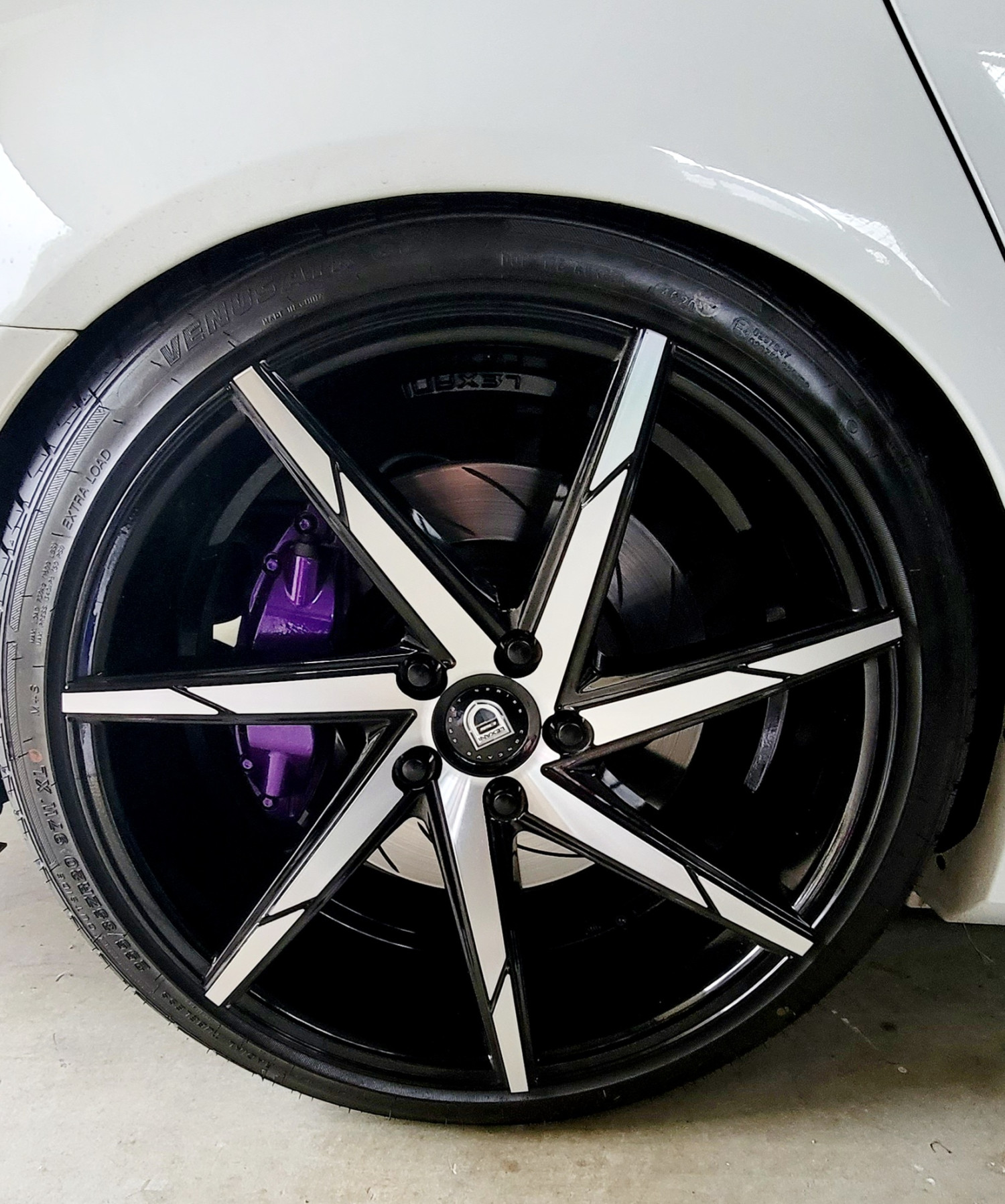 2009 Holden Special Vehicles E2 Clubsport - mickmel65 - Shannons Club