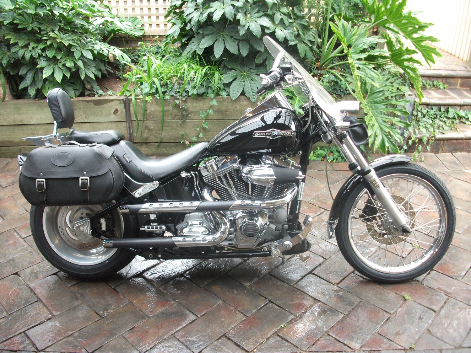 2007 Harley-Davidson FXST - Brenton567 - Shannons Club