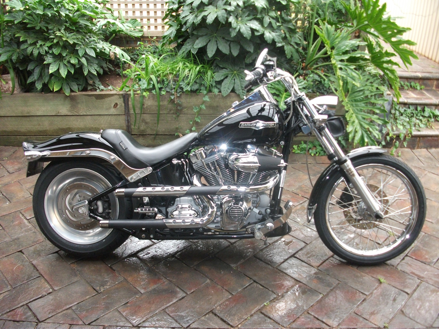 2007 Harley-Davidson FXST - Brenton567 - Shannons Club