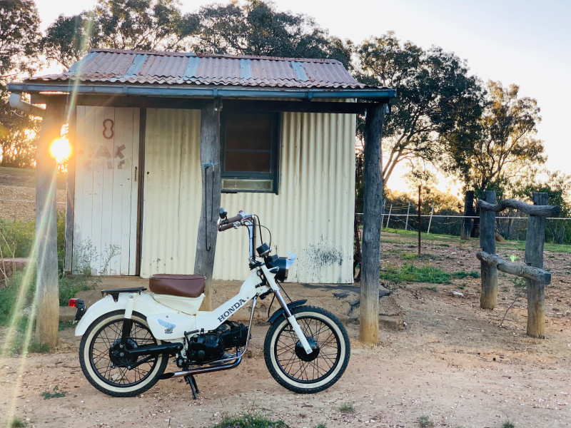 2007 Honda 105cc CT110 | 2020 Shannons Club Online Show & Shine