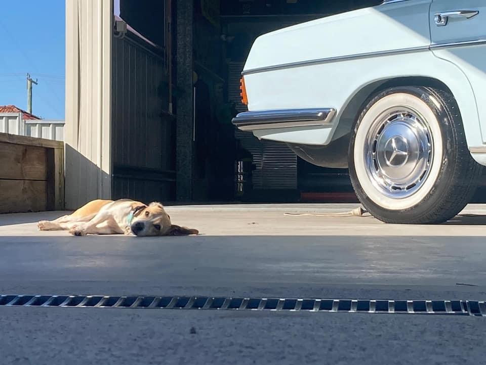 1974 Mercedes-Benz W114 - Erikaa - Shannons Club