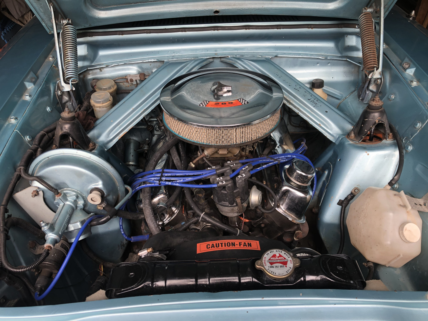1965 Ford FALCON - richiemoir - Shannons Club